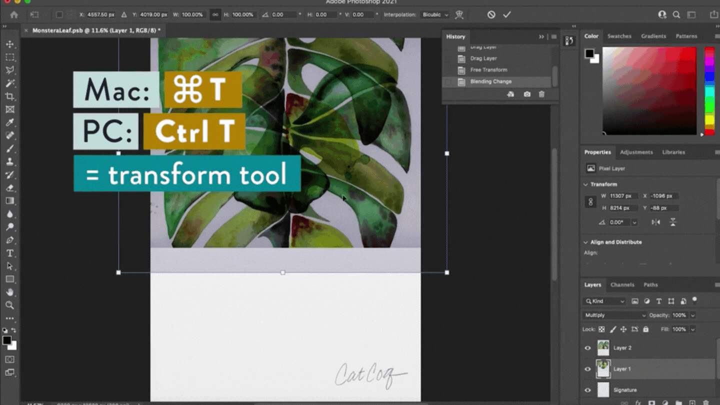Digitizing Artwork: How to Fuse Two Scans Together in Photoshop — CatCoq