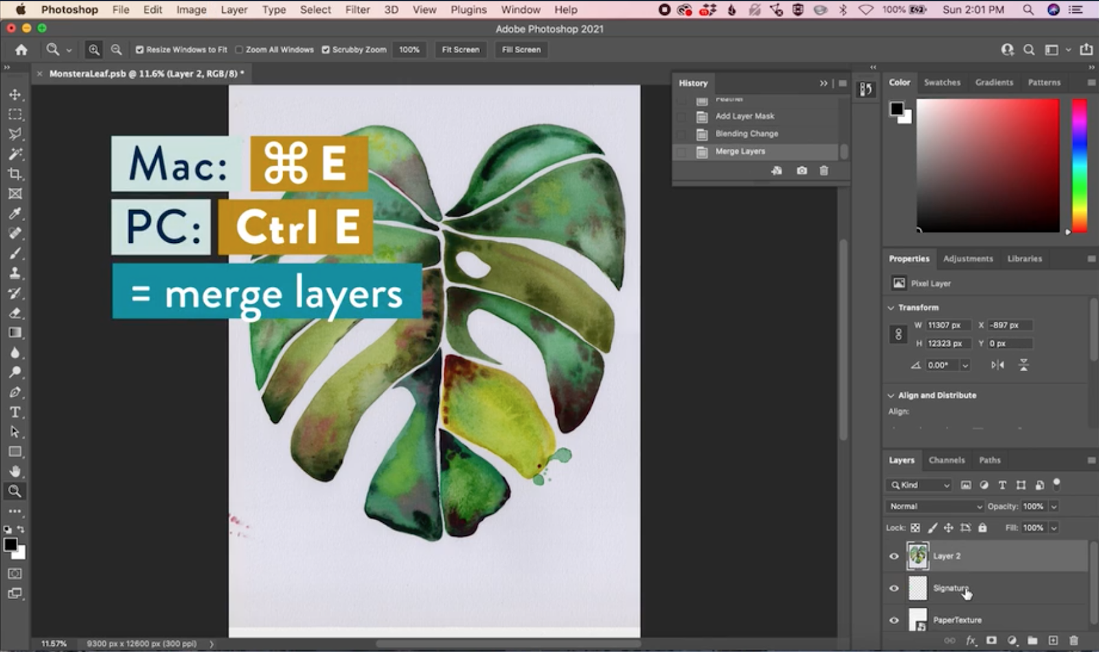 Digitizing Artwork: How to Fuse Two Scans Together in Photoshop — CatCoq