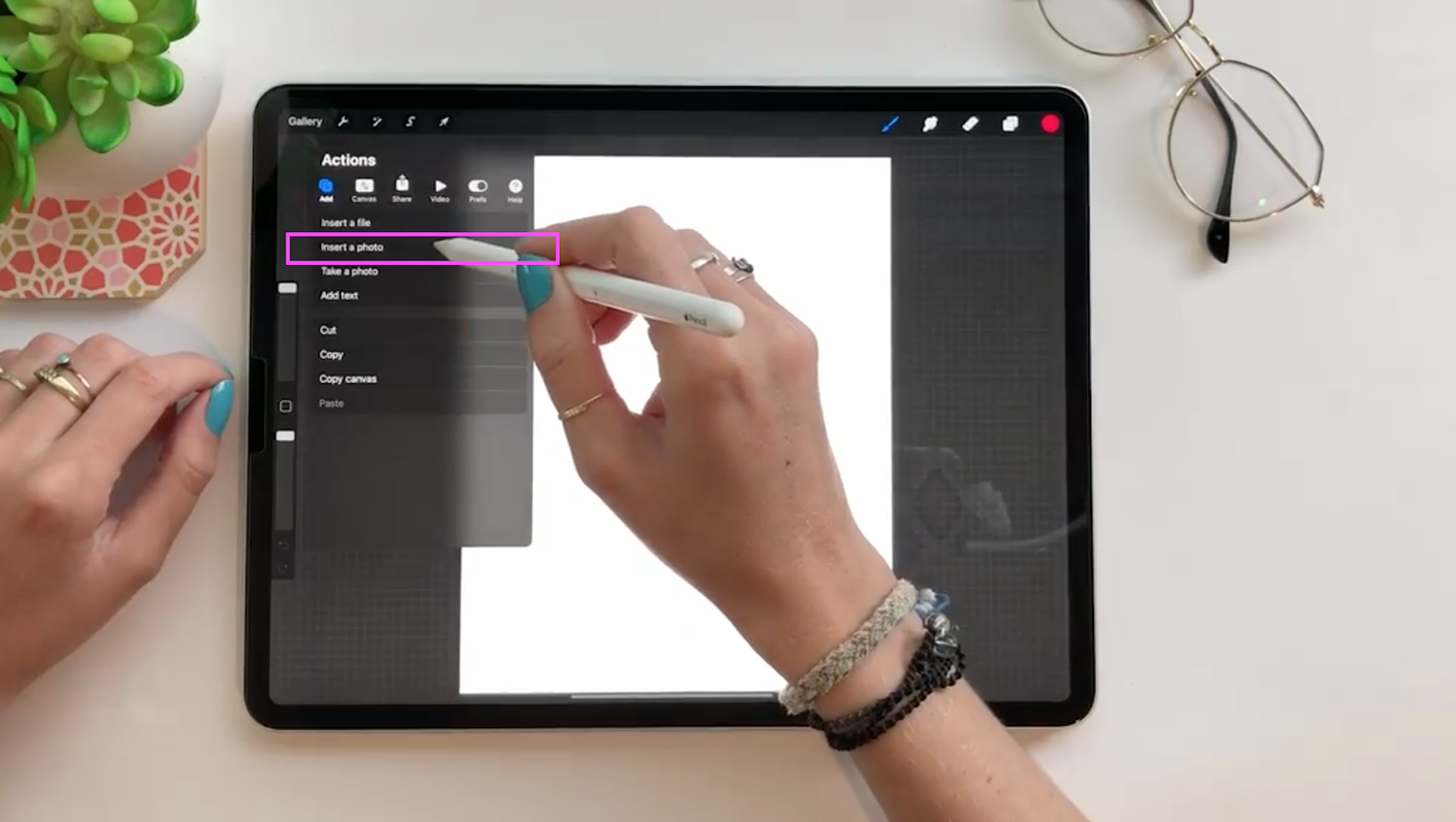 How to Sketch Animals from a Reference Photo — CatCoq