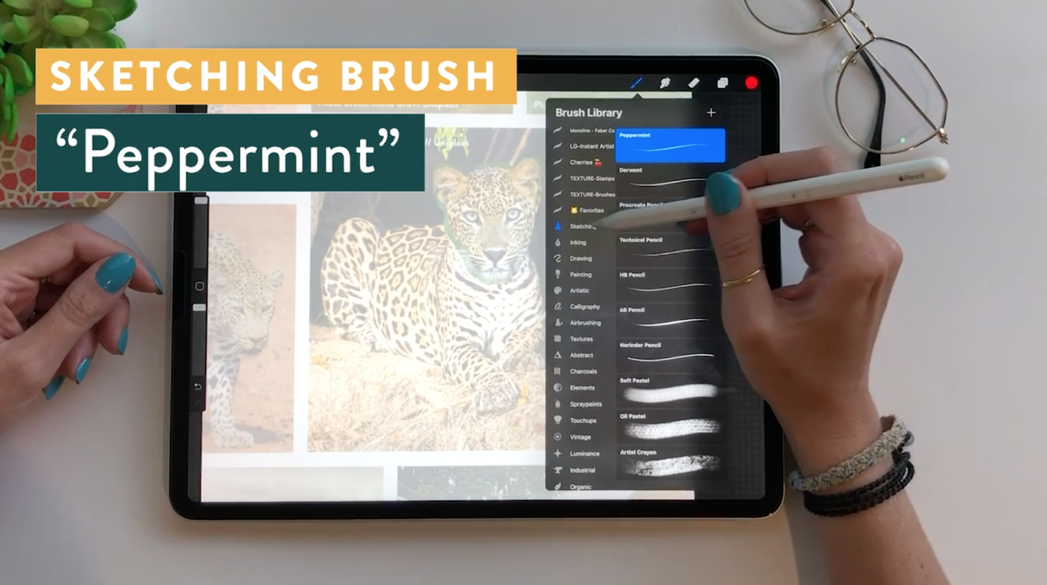 How to Sketch Animals from a Reference Photo — CatCoq