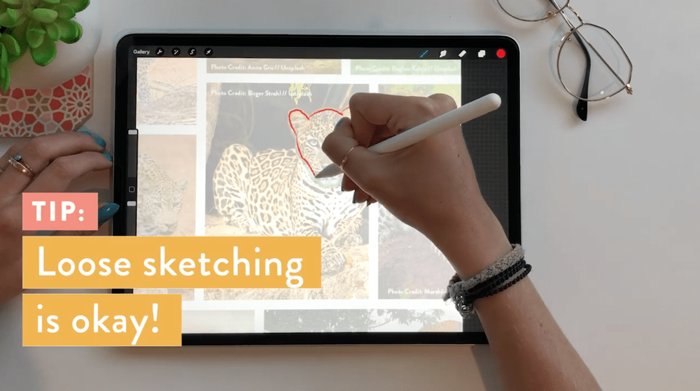 How to Sketch Animals from a Reference Photo — CatCoq