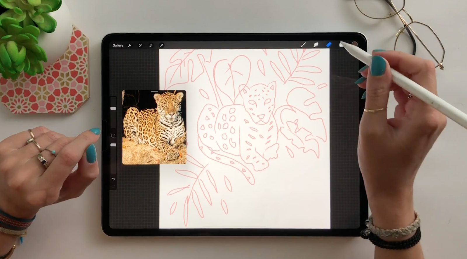 How to Sketch Animals from a Reference Photo — CatCoq
