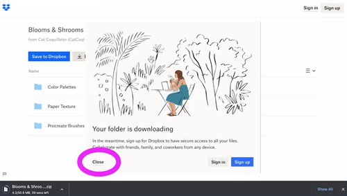 How to Open Downloaded Assets in Procreate — CatCoq