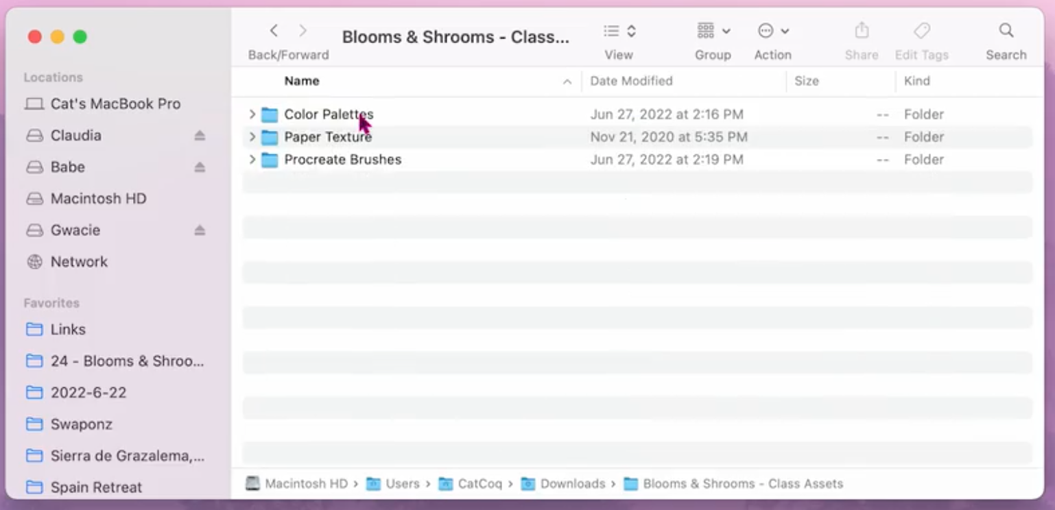 How to Open Downloaded Assets in Procreate — CatCoq