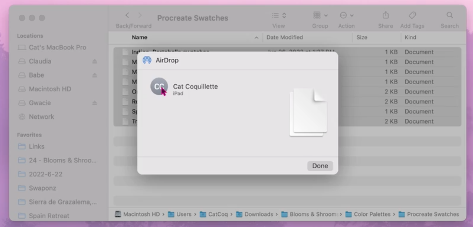 How to Open Downloaded Assets in Procreate — CatCoq