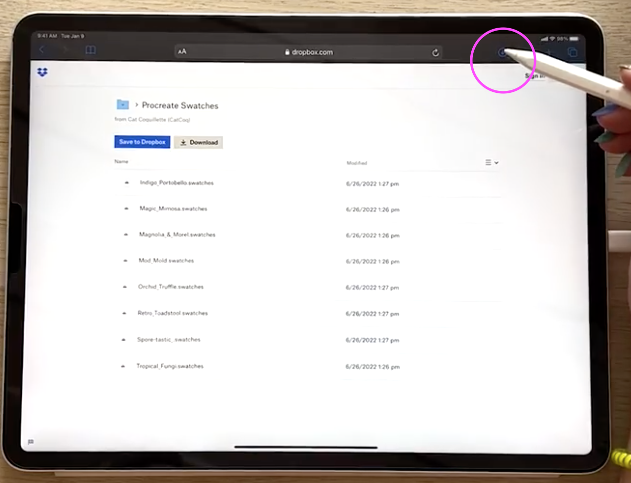 How to Open Downloaded Assets in Procreate — CatCoq