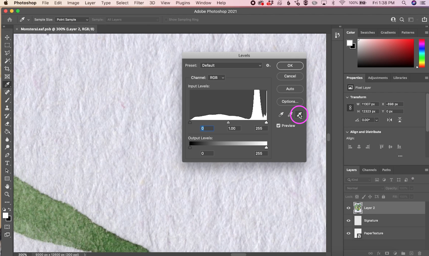 How to Remove a White Background in Photoshop — CatCoq