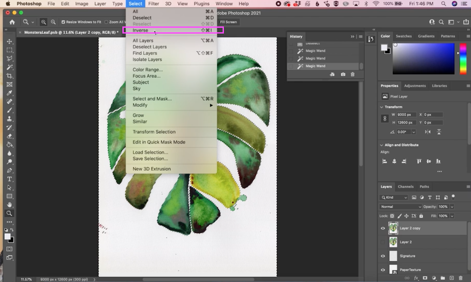 How to Remove a White Background in Photoshop — CatCoq How to Remove a White Background in Photoshop — CatCoq