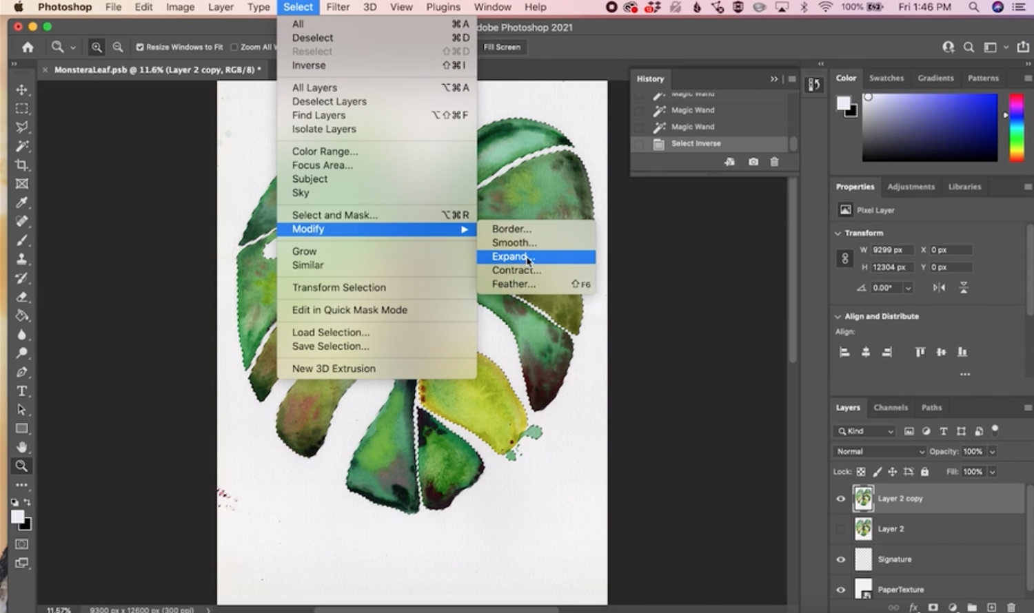 How to Remove a White Background in Photoshop — CatCoq