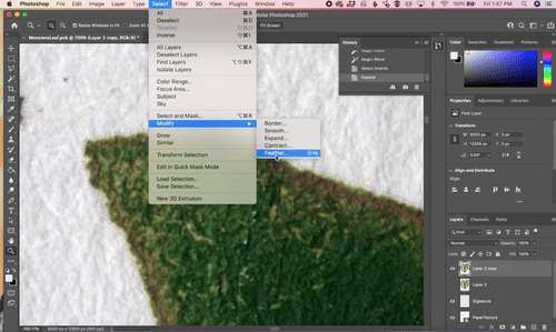 How to Remove a White Background in Photoshop — CatCoq