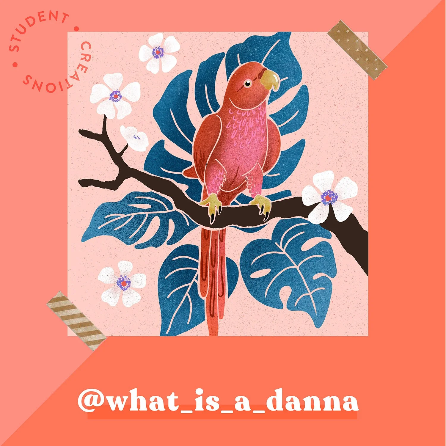 Draw Animals in Procreate — CatCoq