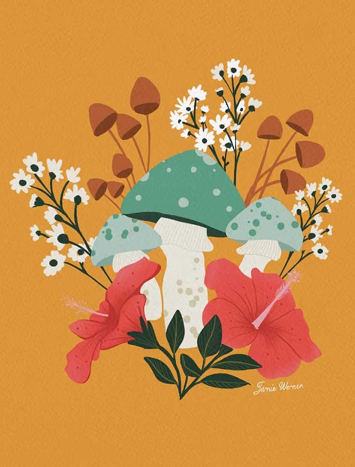 Blooms & Shrooms — CatCoq