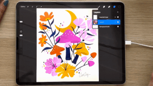 How to Quickly Adjust the Color of Your Illustrations in Procreate — CatCoq