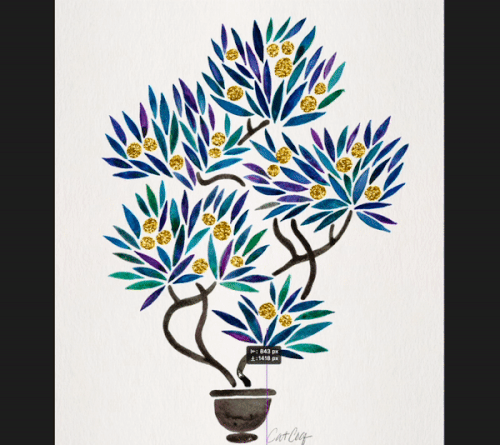 Creative Bundle Pack - Access Granted! — CatCoq