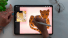 Draw Animals in Procreate — CatCoq
