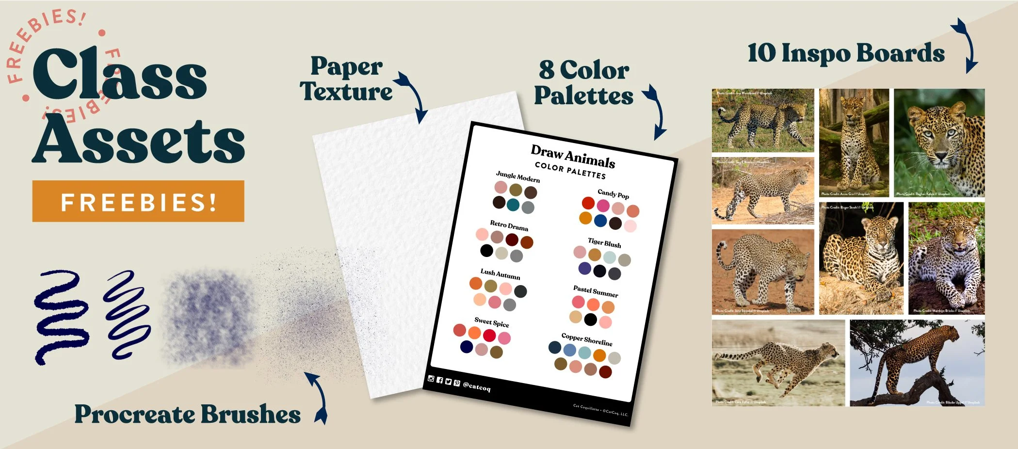 Draw Animals in Procreate — CatCoq