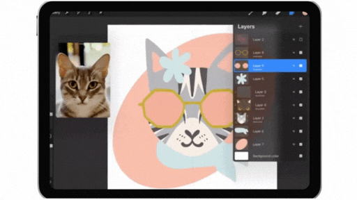 How to Create a Custom Pet Portrait in Procreate — CatCoq