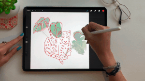 Draw Animals in Procreate — CatCoq
