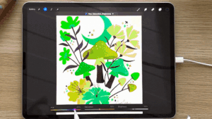 How to Quickly Adjust the Color of Your Illustrations in Procreate — CatCoq