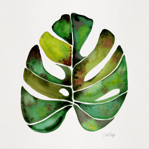 Digitize Your Art to Sell Online — CatCoq