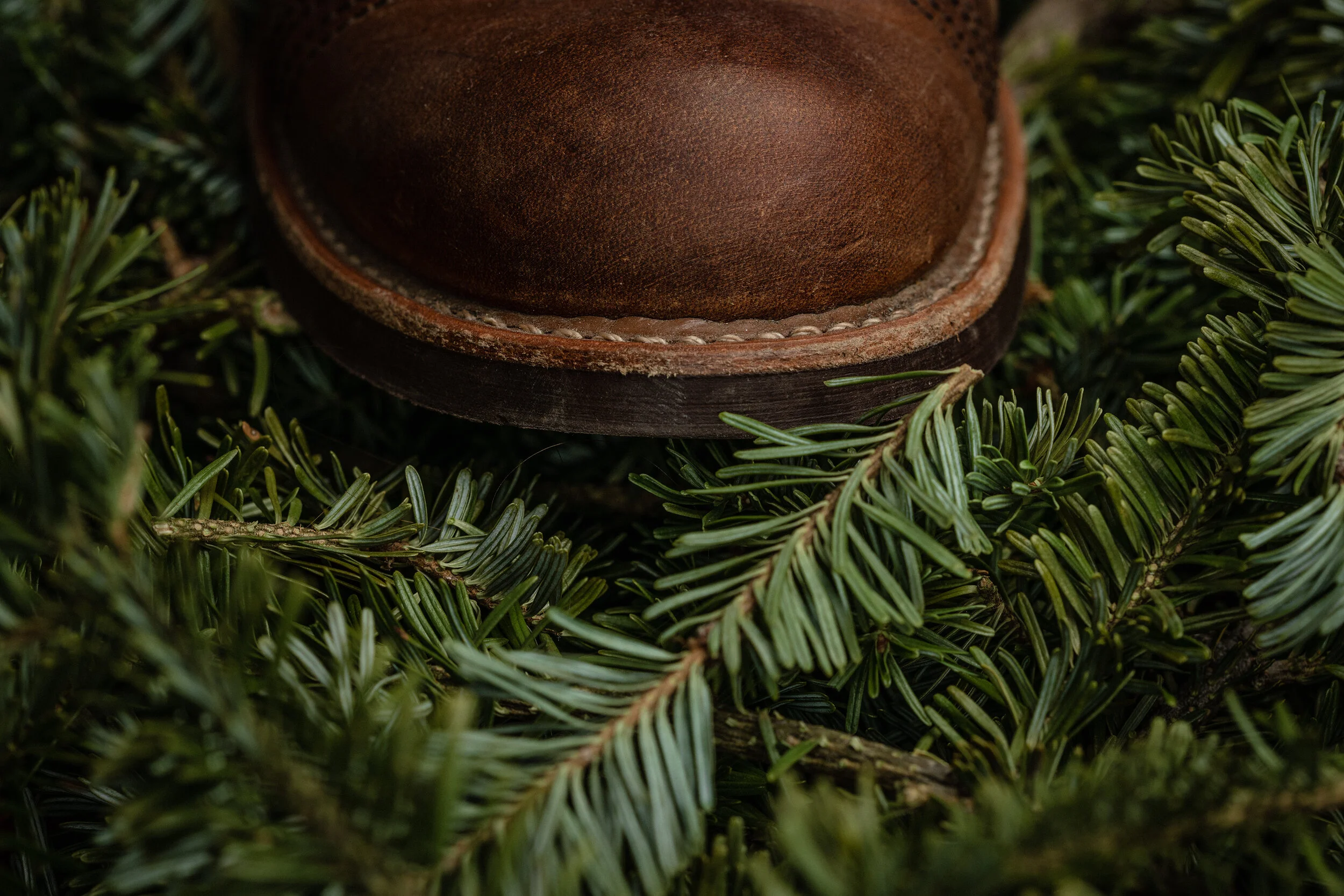 Journal — Noah Stephens