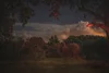 Southern Trees [As Viewed from A Plantation Backyard] — Noah Stephens