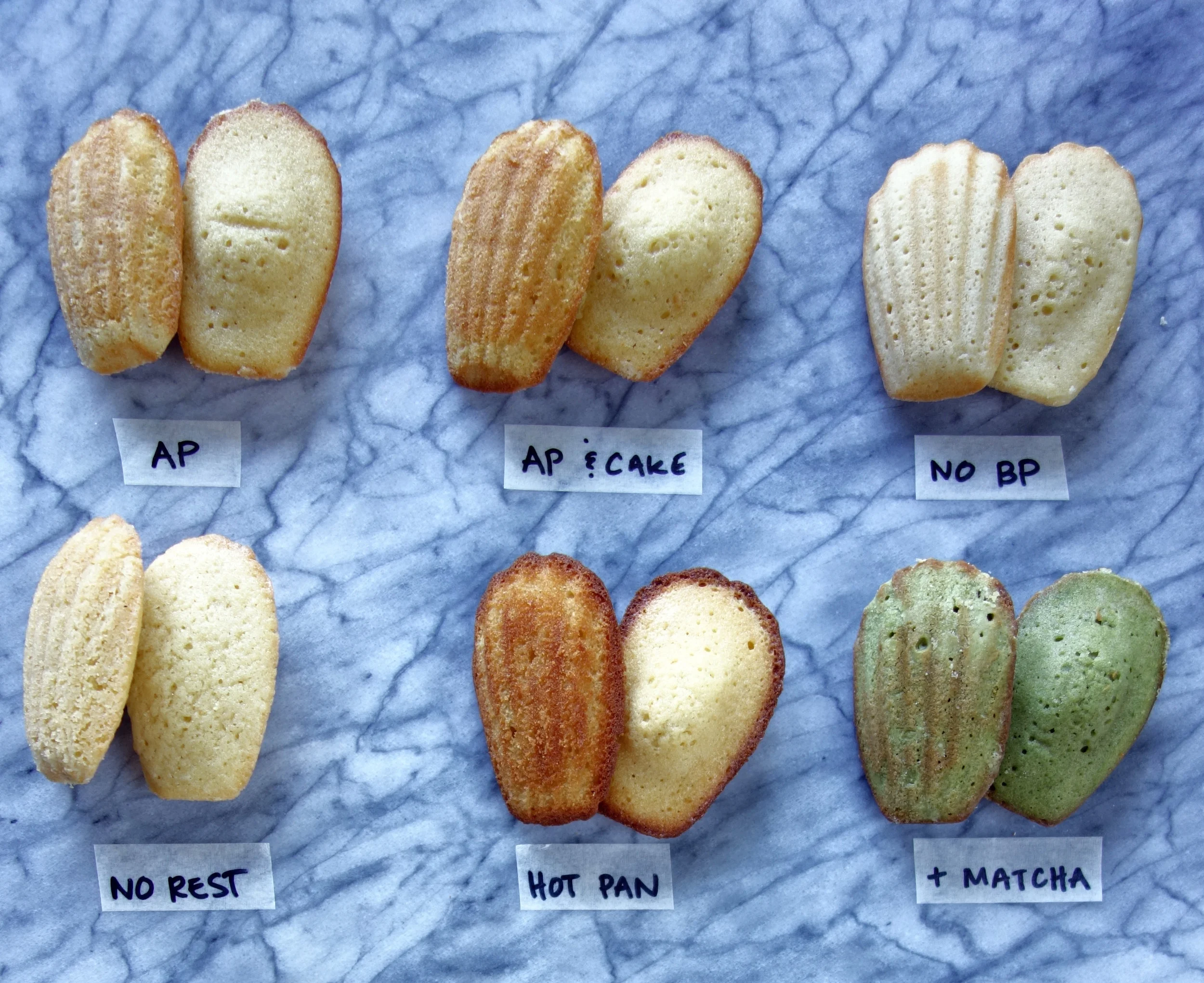 Madeleines — alexander bakes