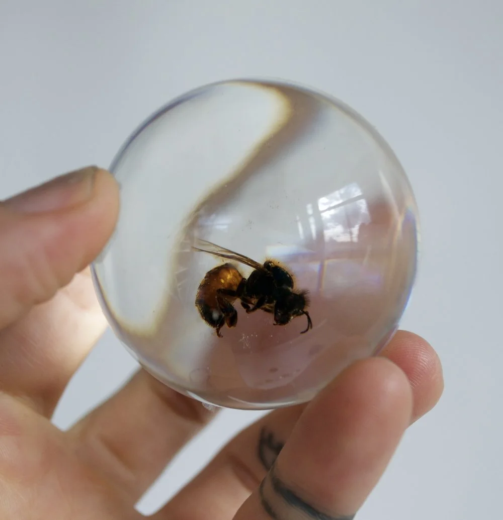 BEE TOTEMS — OneJessa