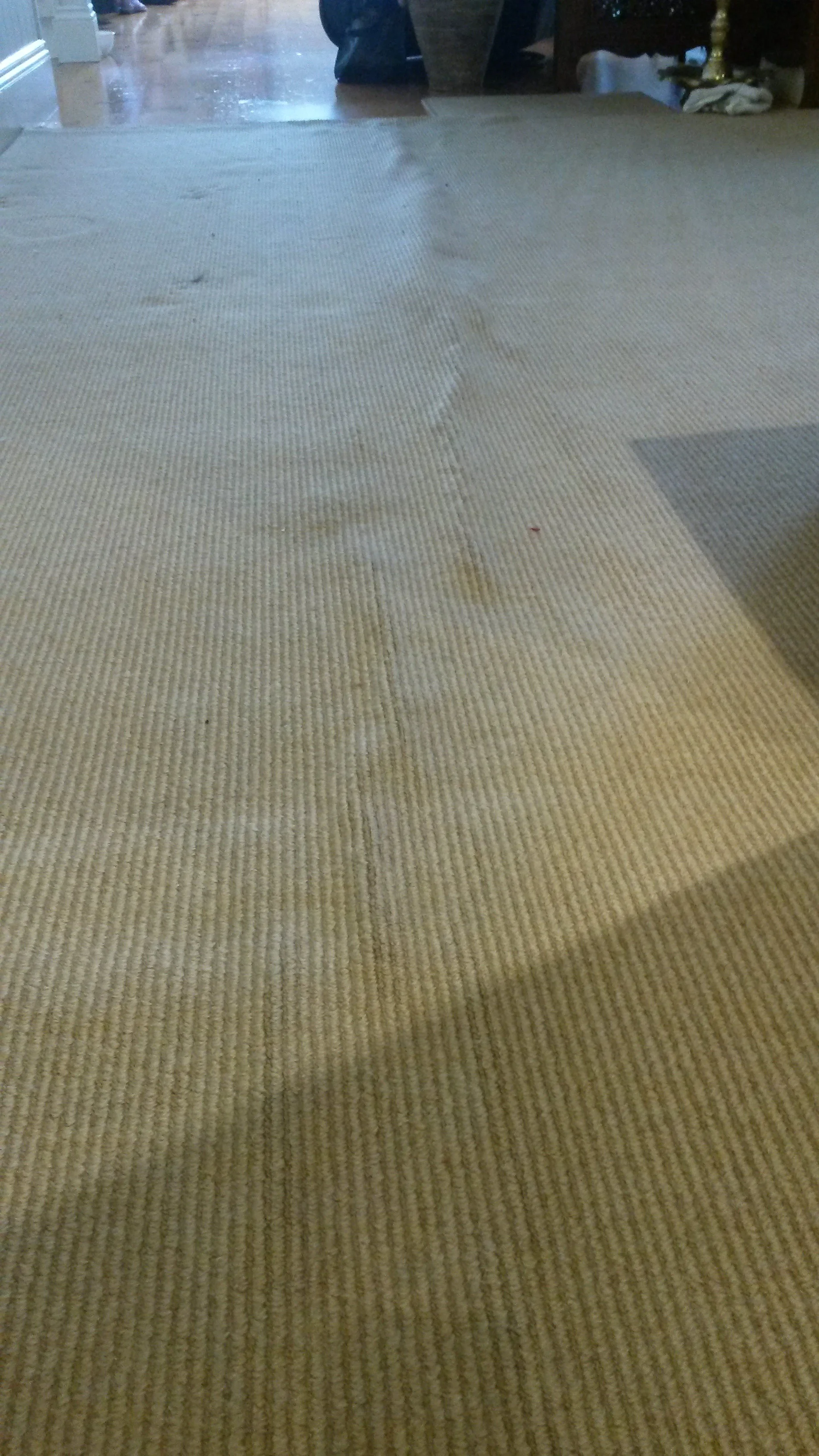 Gallery — Carpet Repair | Water Damaged Wet Carpet Dry | Gold Coast