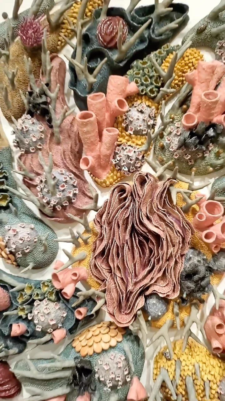 about — Courtney Mattison