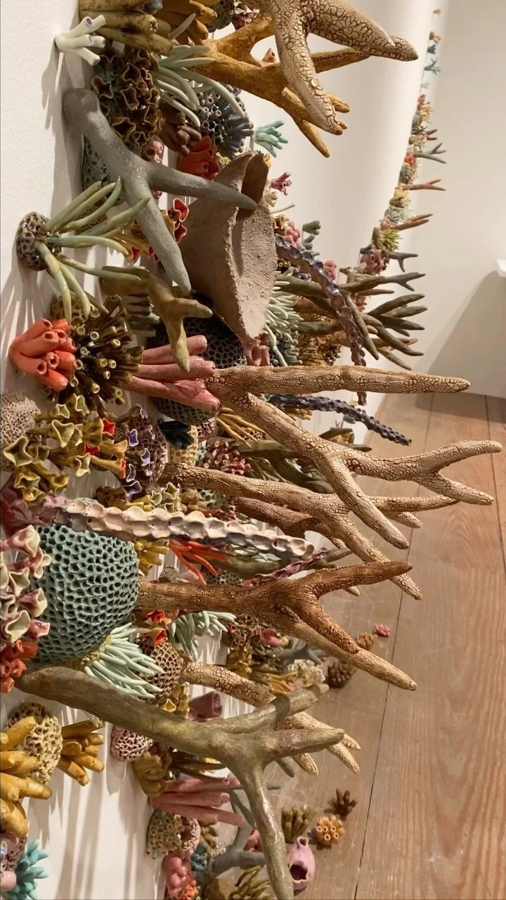 about — Courtney Mattison