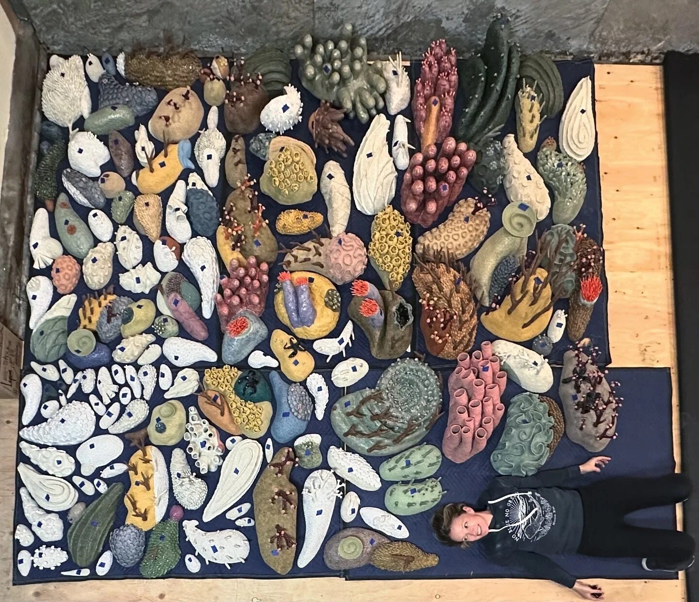 about — Courtney Mattison