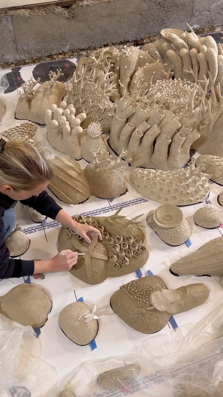 about — Courtney Mattison