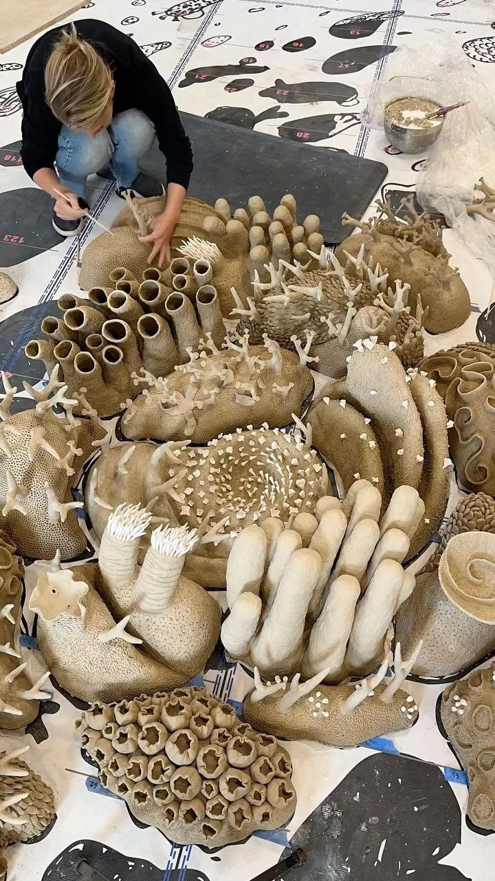 about — Courtney Mattison