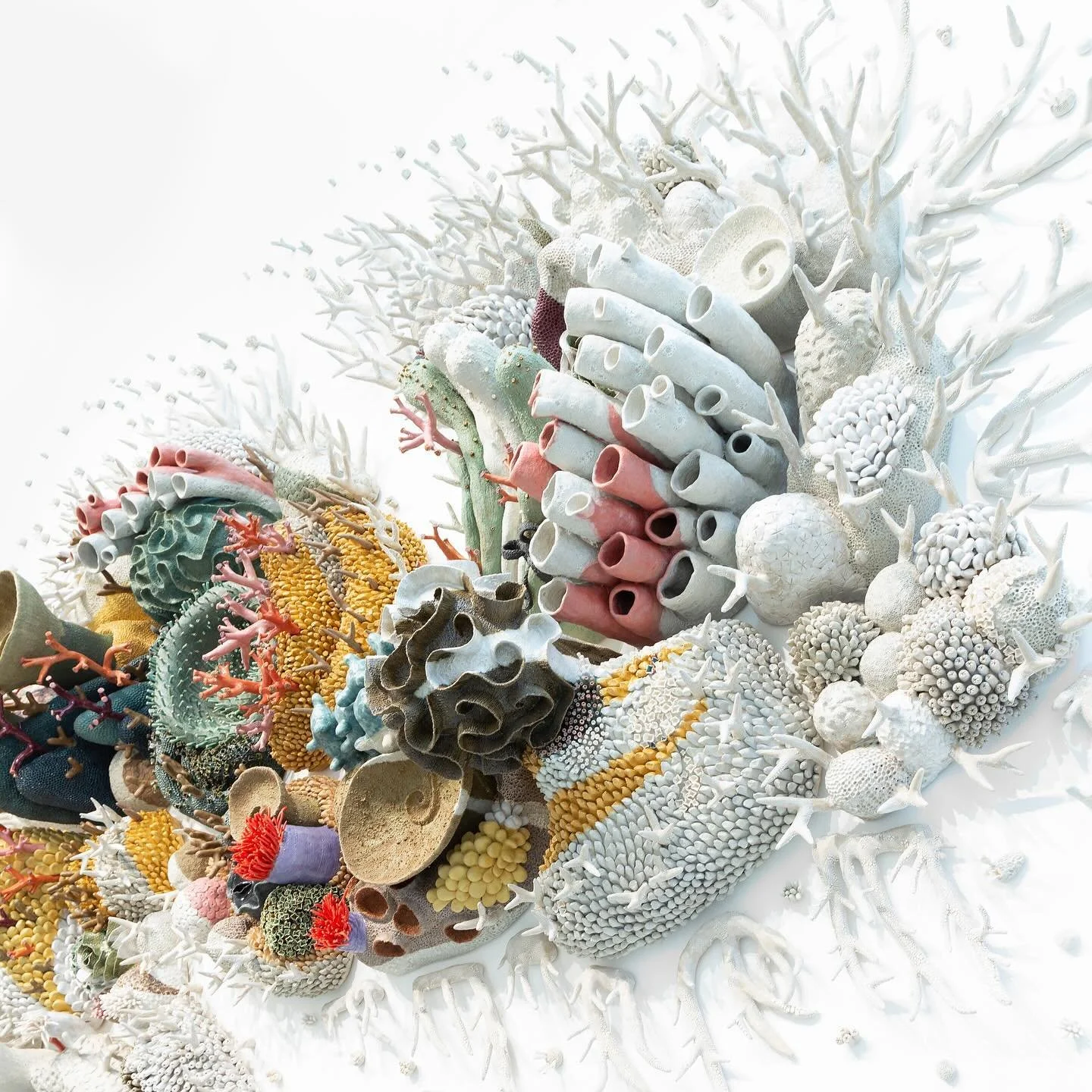 about — Courtney Mattison