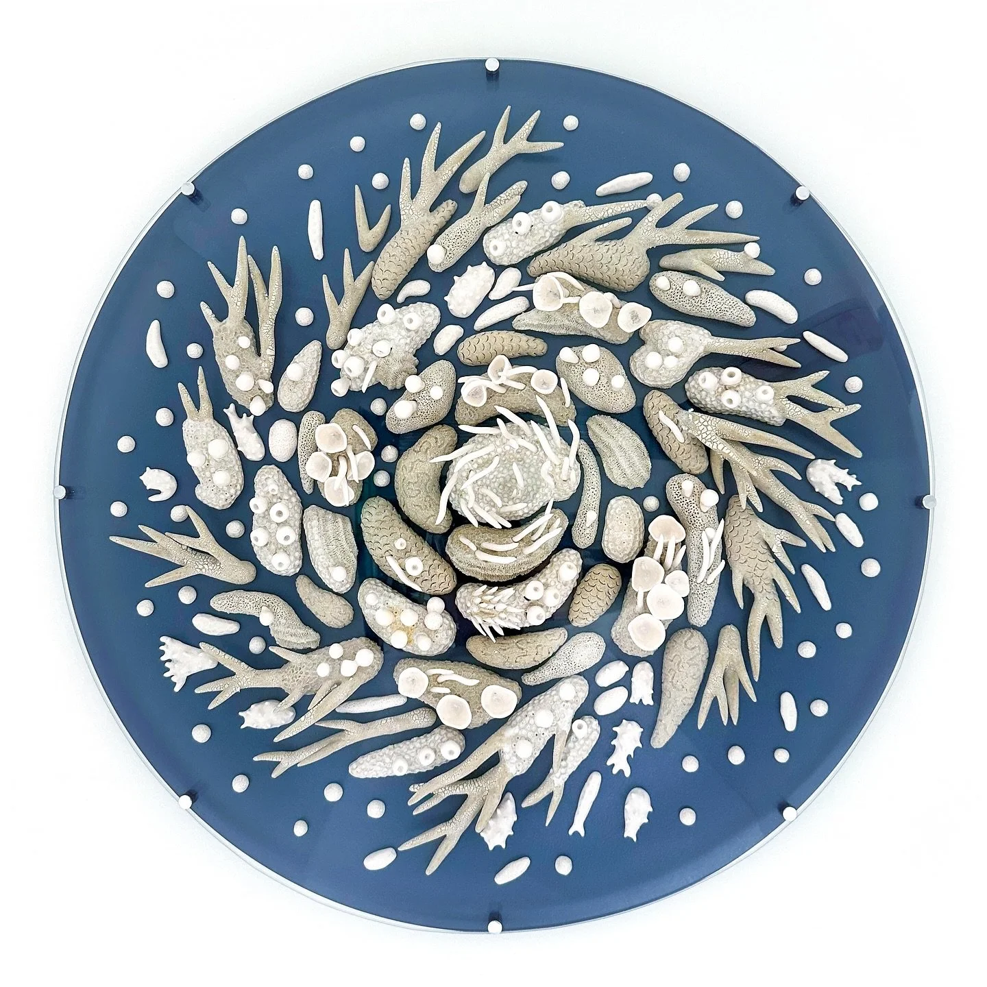 about — Courtney Mattison