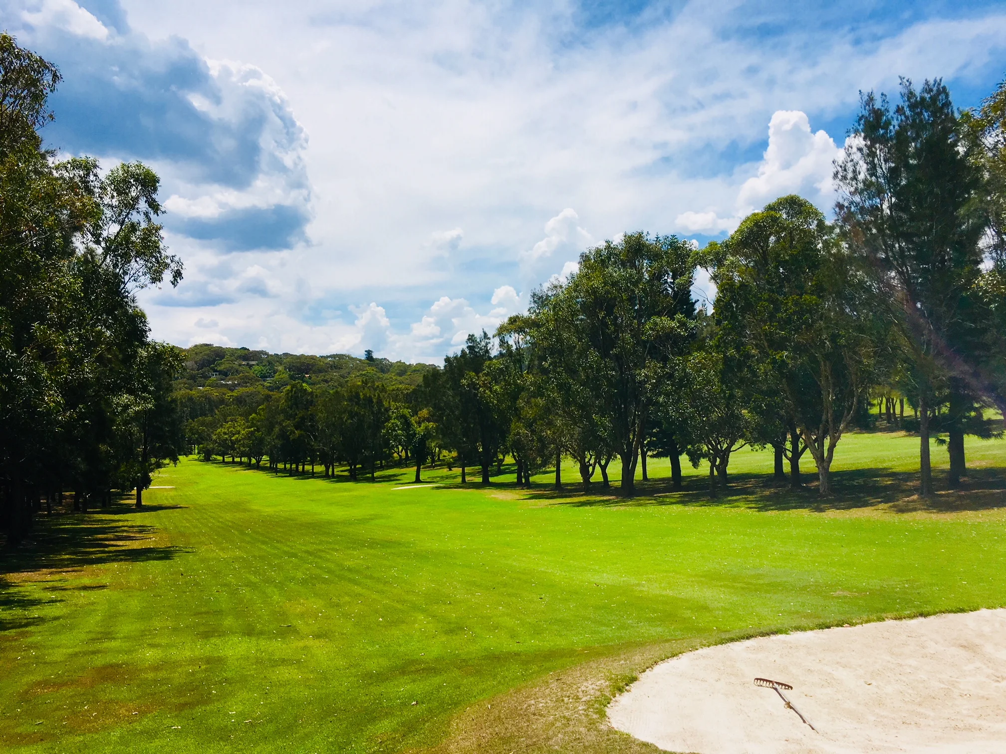 Avalon Golf Course: Gallery - Avalon Golf Course