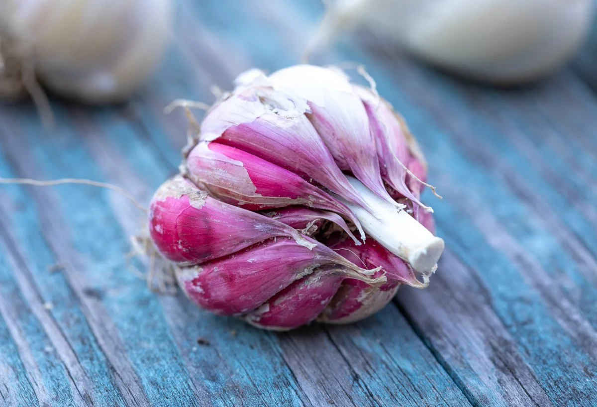 Our products are now available for pick up in Lafayette Square. — Grand ...