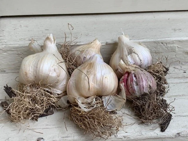 Our products are now available for pick up in Lafayette Square. — Grand ...