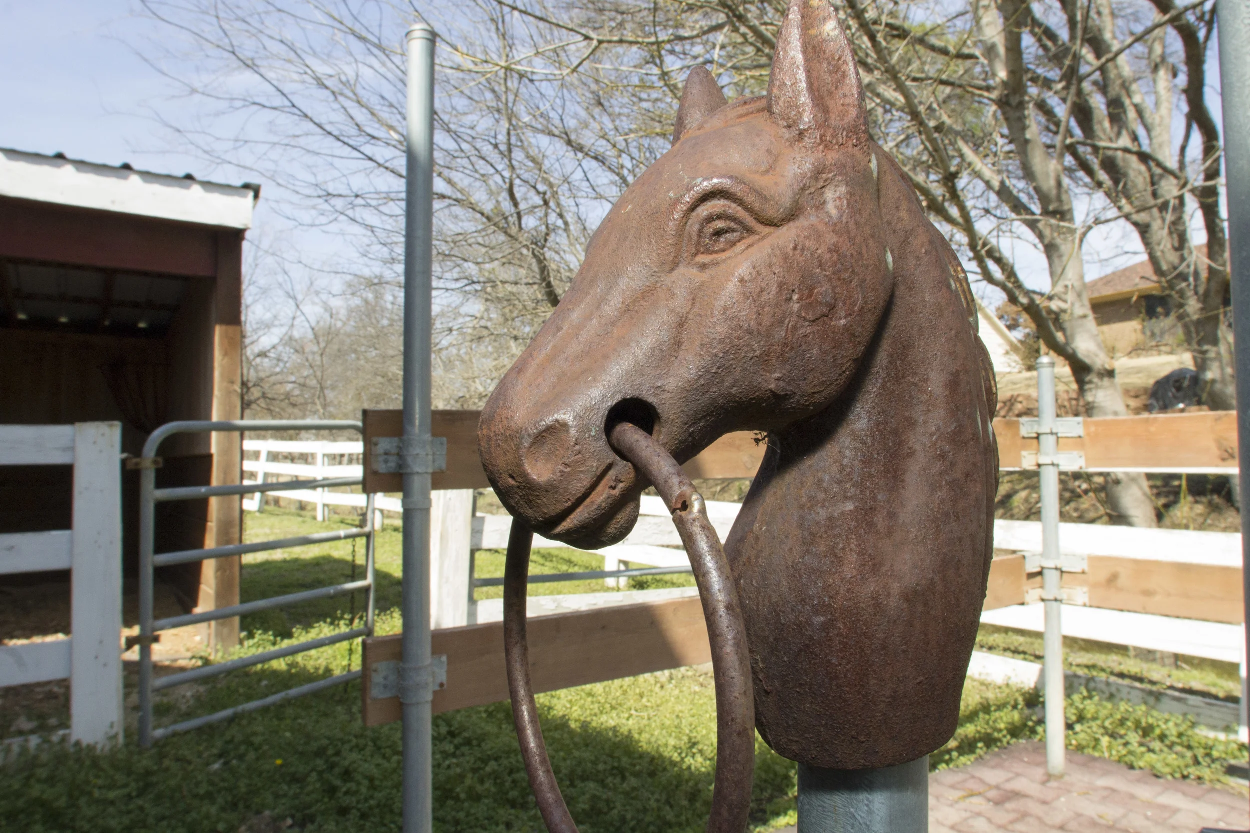 SERVICES — Rocking J Stables | DFW Dallas Fort Worth Garland Horse ...