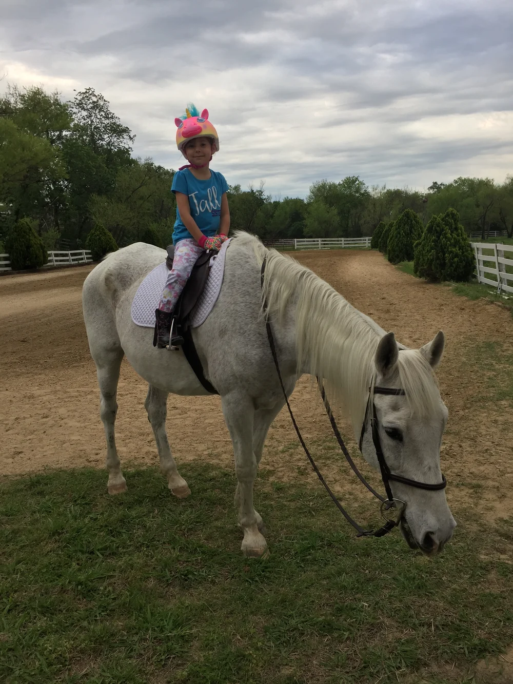 FACILITIES — Rocking J Stables | DFW Dallas Fort Worth Garland Horse ...