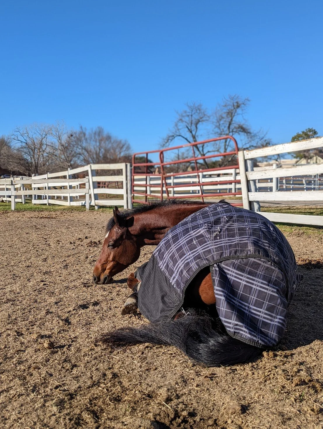 SERVICES — Rocking J Stables | DFW Dallas Fort Worth Garland Horse ...