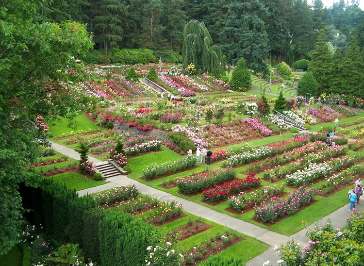 International Rose Test Garden — American Rose Trials for Sustainability®