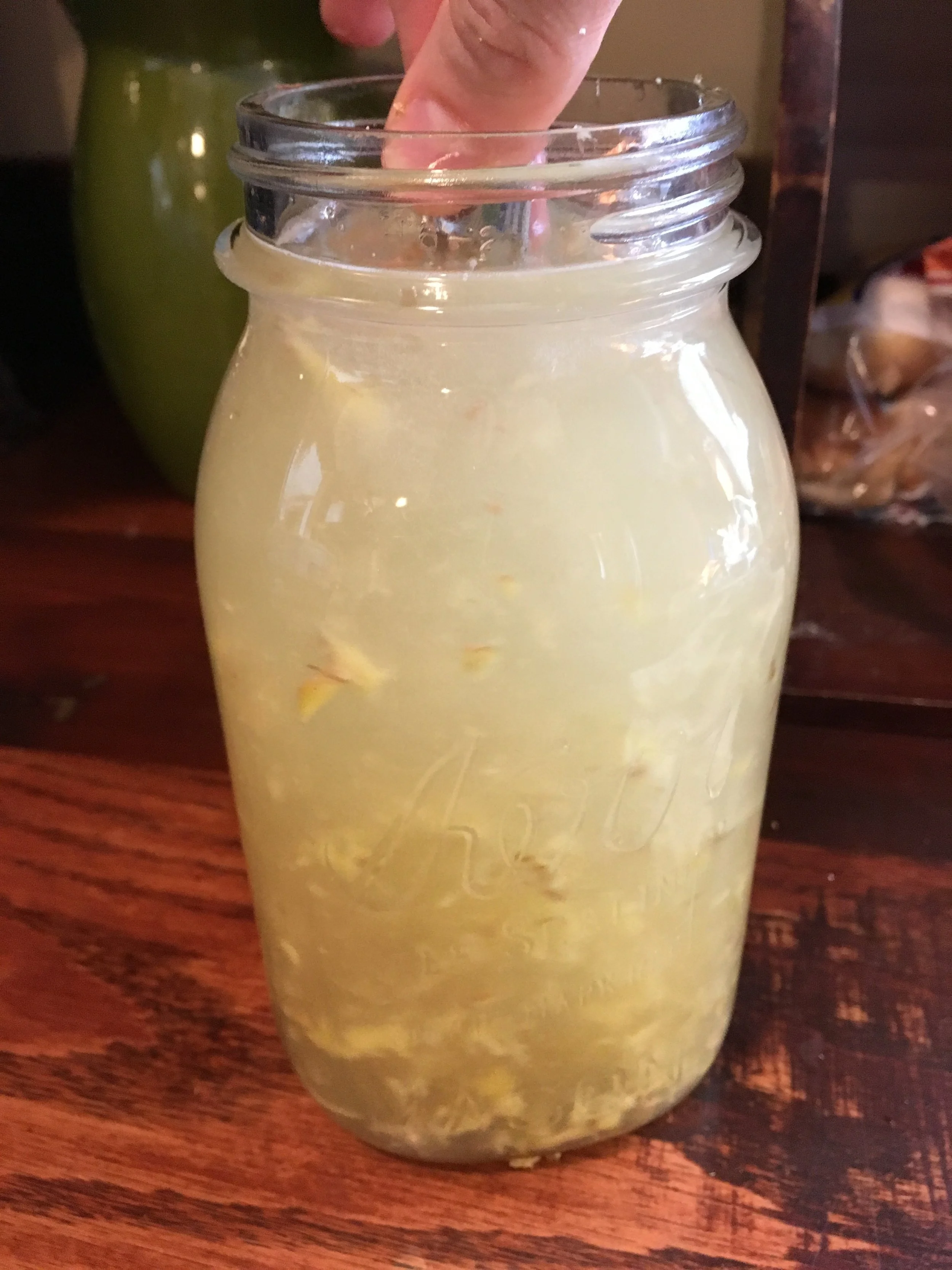 How to make a Ginger Bug — Honeyrun Farm