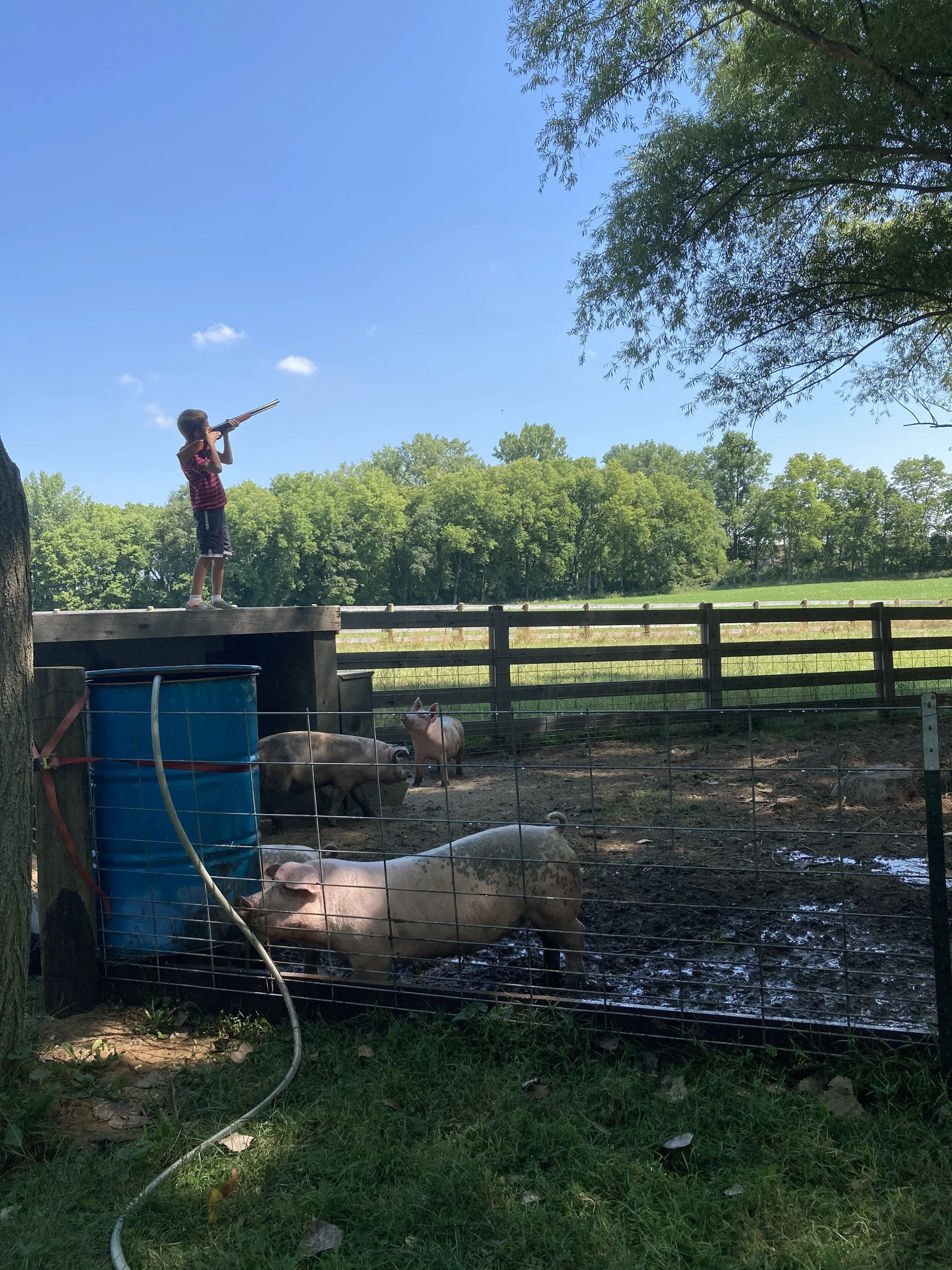 Blog — Honeyrun Farm