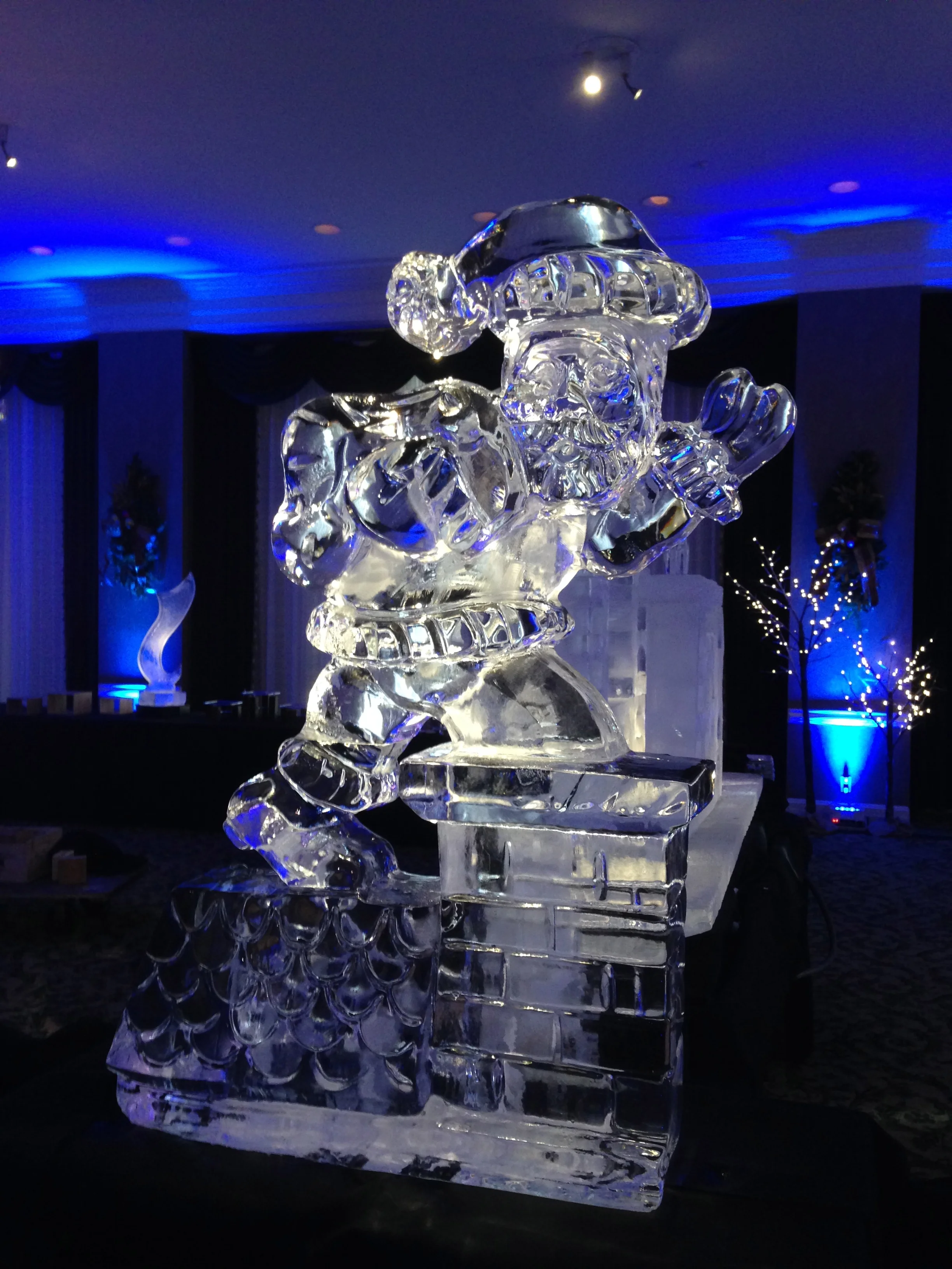 Holiday Gallery — Stellar Ice