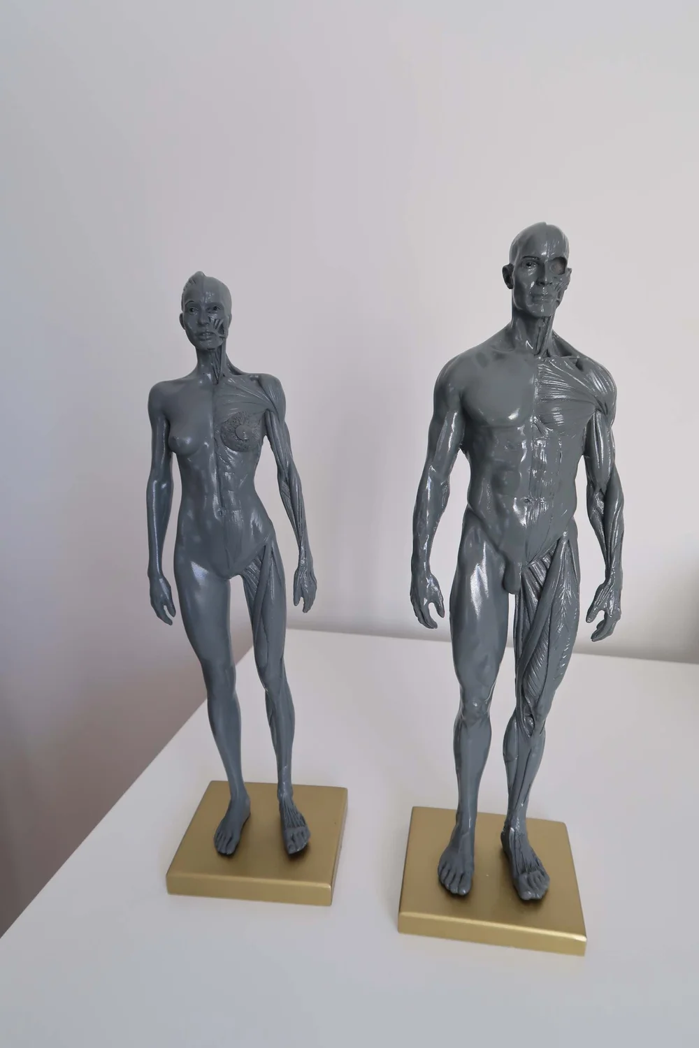 Draw Better with 3D Models — amiko simonetti