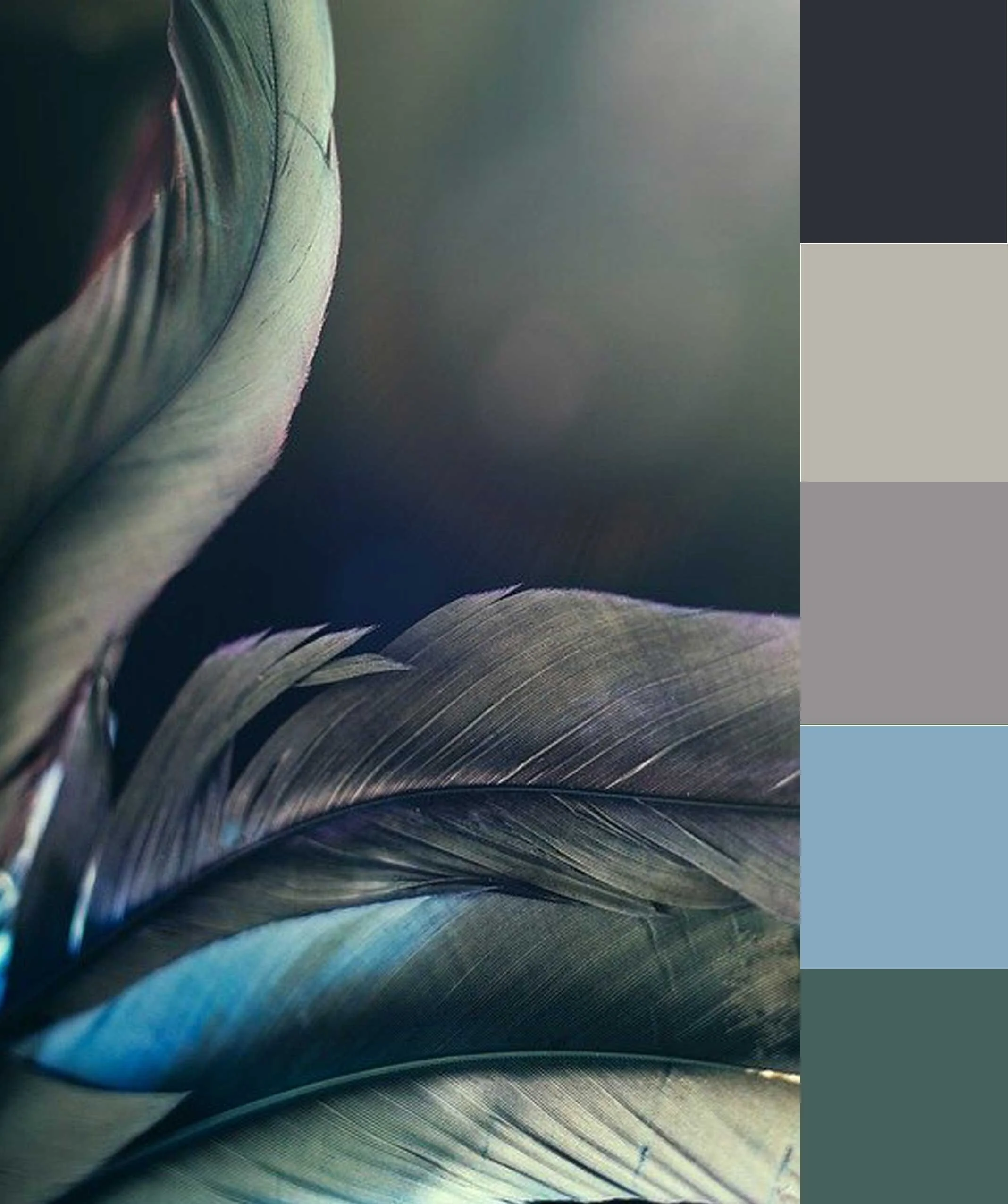 How to Find Royalty-Free Images for Inspiration and Color Stories ...