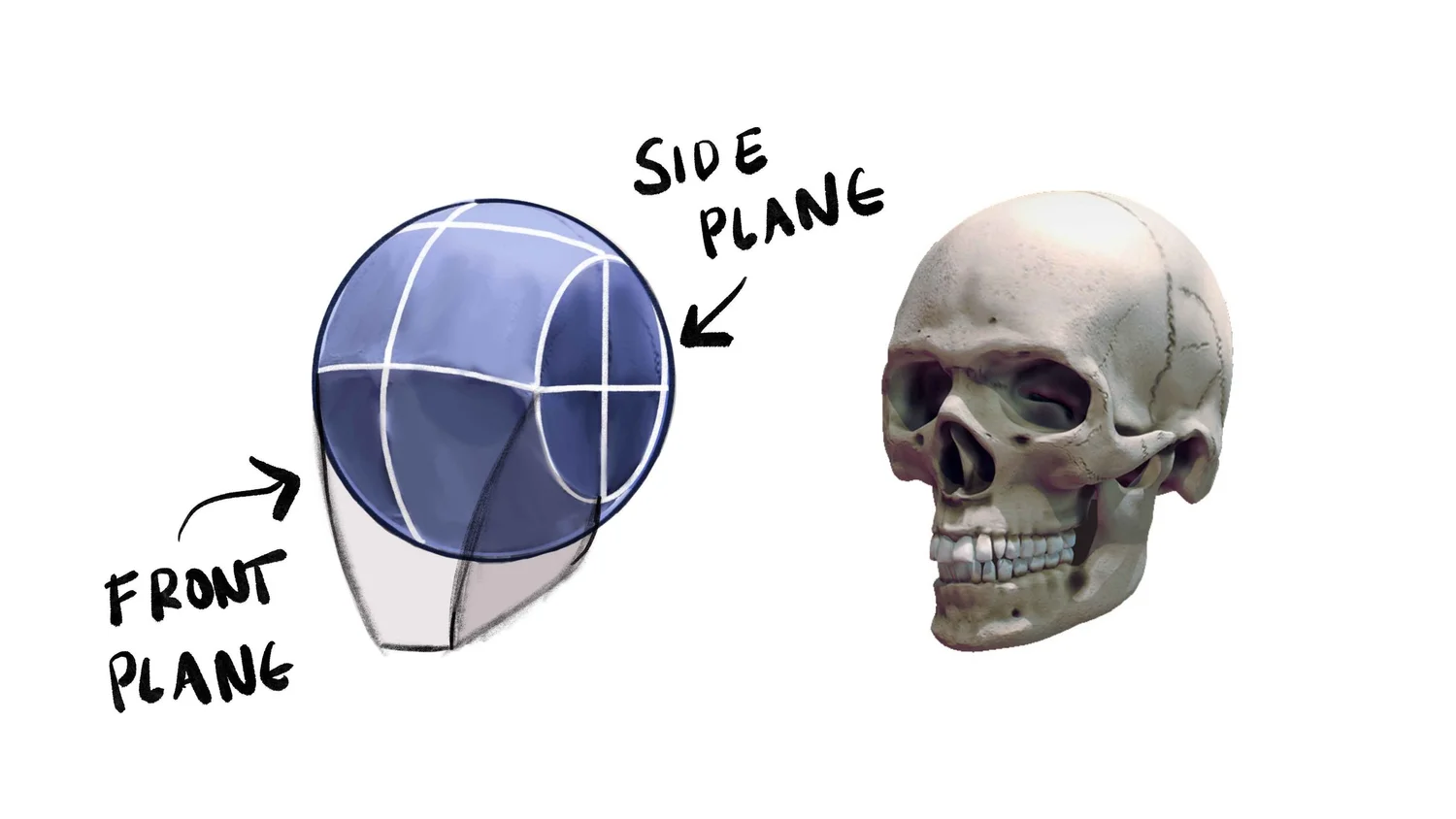 The Ultimate Guide to Drawing the Turned Head | Loomis Method | Step-by ...