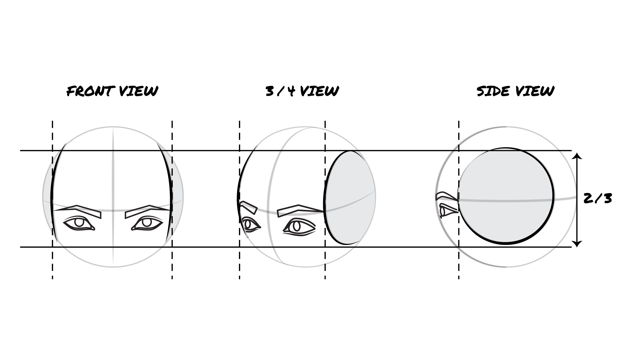 The Ultimate Guide To Drawing The Turned Head Loomis Method Step by The Ultimate Guide To Drawing The Turned Head Loomis Method Step by